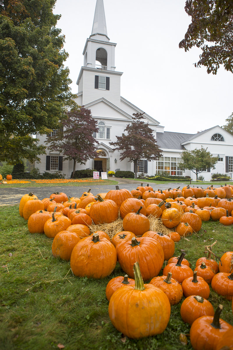 2020 Pumpkin Patch - Pilgrim Congregational Church
